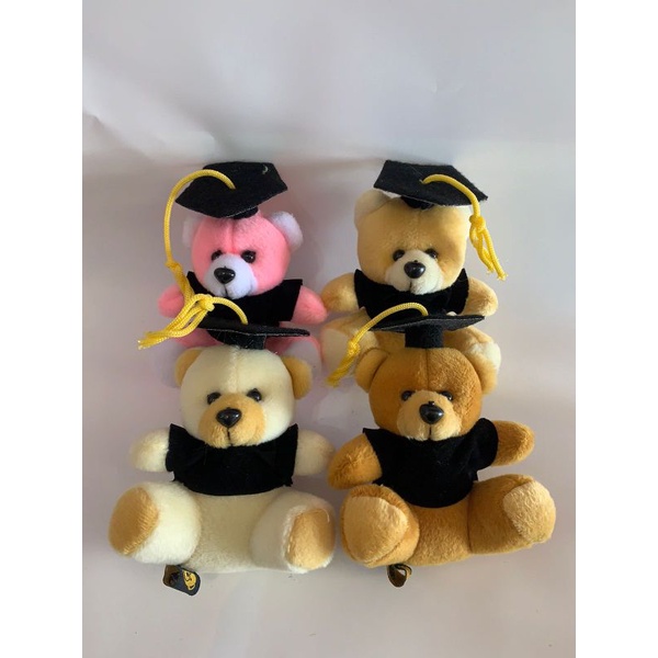 Jual Ready Boneka wisuda +-14 cm Boneka Teddy wisuda / Boneka wisuda ...