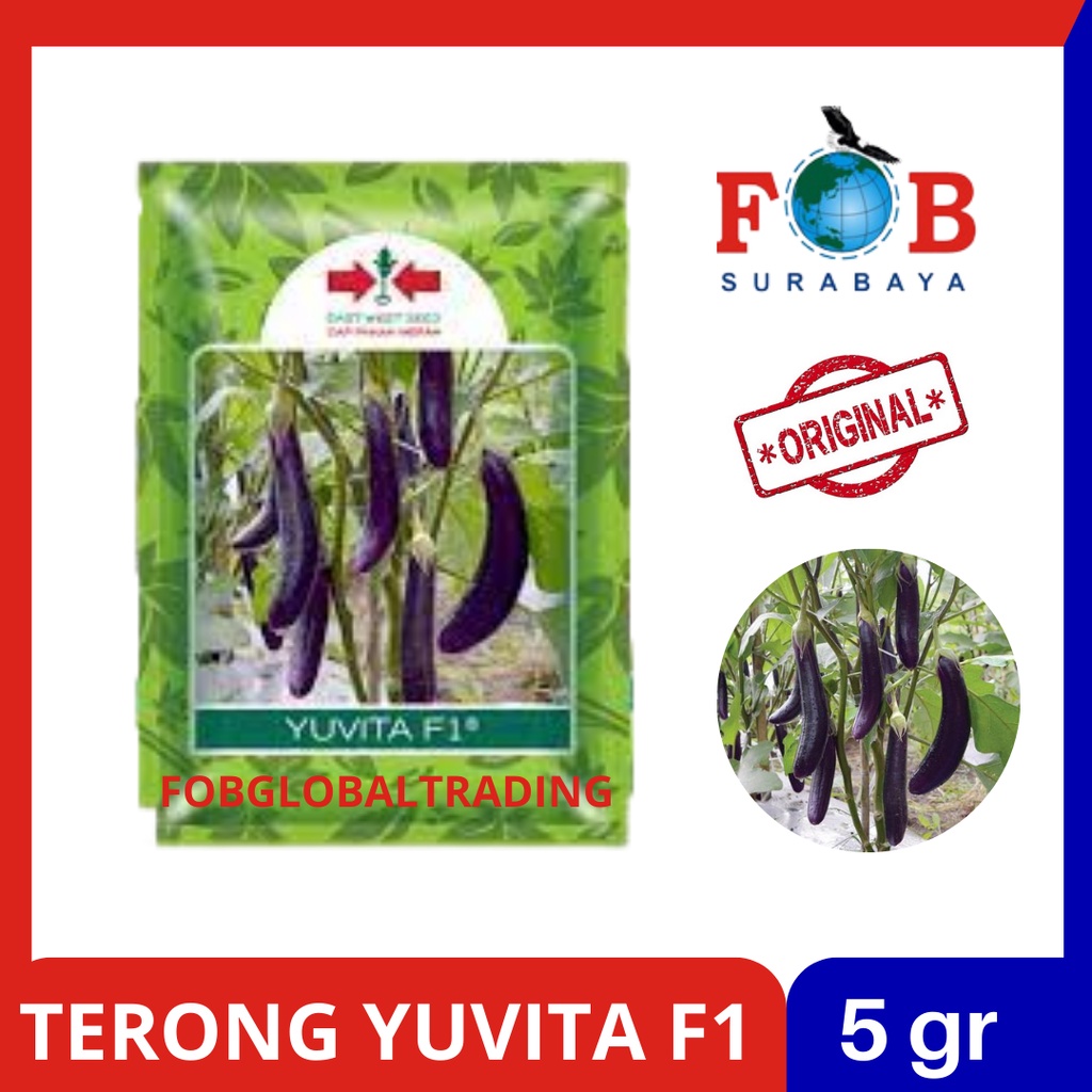Jual BENIH TERONG / TERUNG YUVITA F1 5GRAM MEREK PANAH MERAH | Shopee Indonesia
