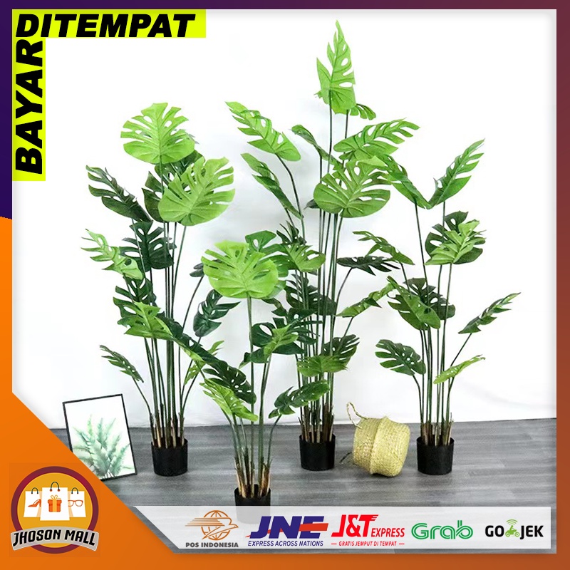Jual JM Pot Bunga Plastik Tinggi pohon : 180 cm / Pohon Monstera ...