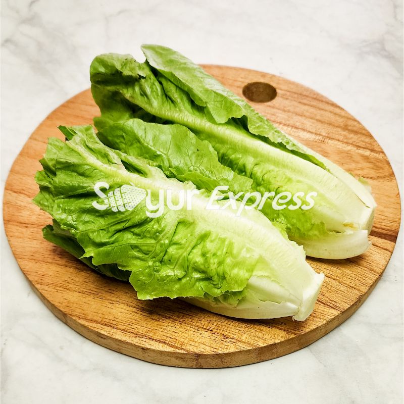 Jual KIRIM INSTAN Selada Romaine 150gr | Shopee Indonesia