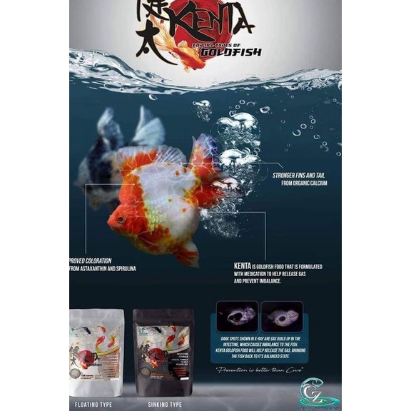 Jual Kenta Fish Food Sinking | Shopee Indonesia