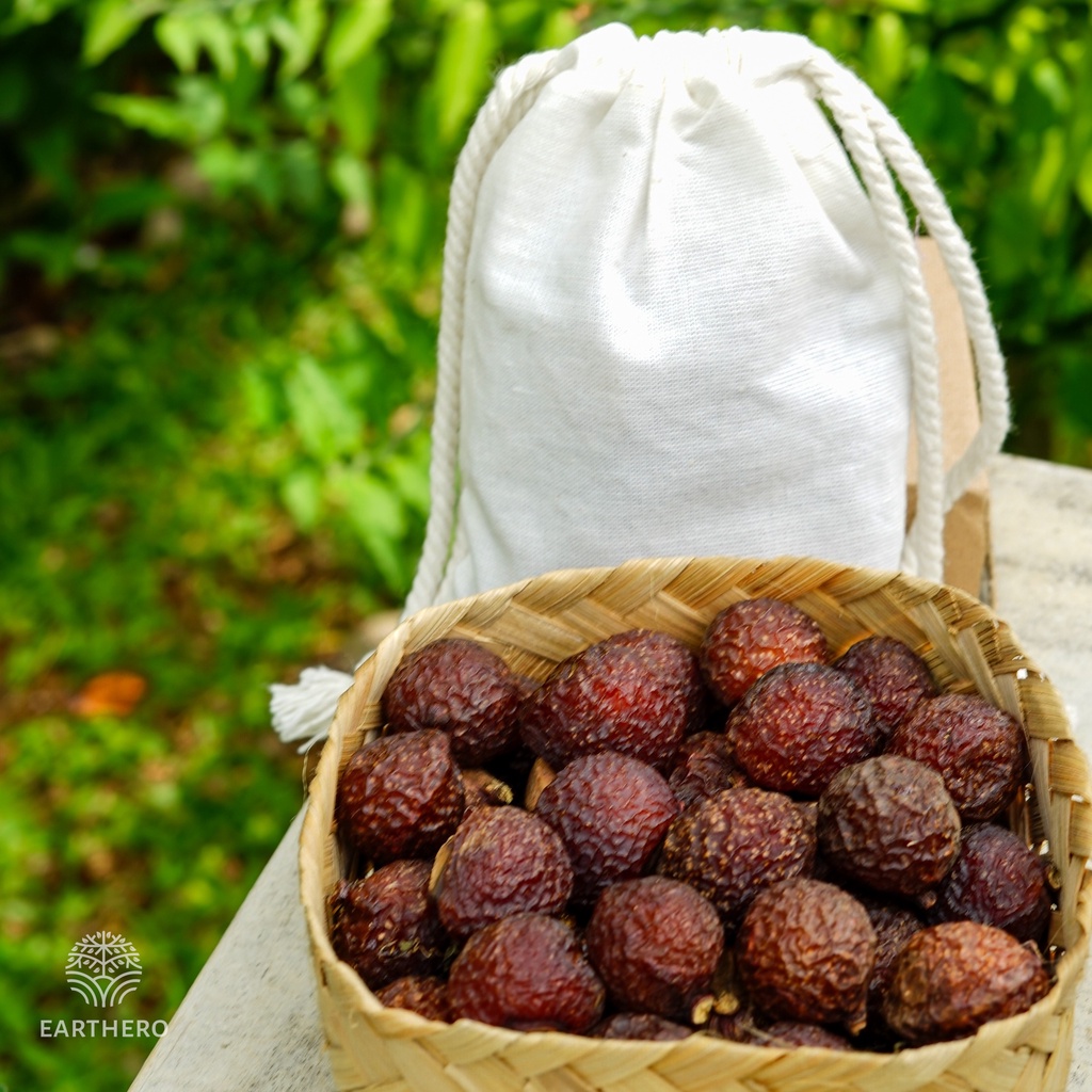 Jual Lerak Buah 1 kg | 250 gram | Pembersih Alami | Deterjen Alami ...