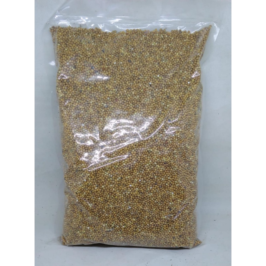 Jual MILLET MILET KUNING PREMIUM 500 GR PAKAN BURUNG LOVEBIRD KENARI ...