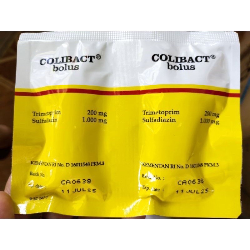 Jual COLIBACT BOLUS OBAT DIARE TERNAK ISI 2 BOLUS. | Shopee Indonesia