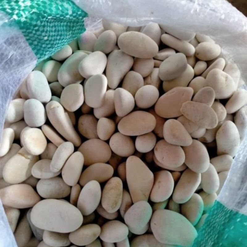 Jual Batu Koral Putih / Coral putih berat 1kg | Shopee Indonesia