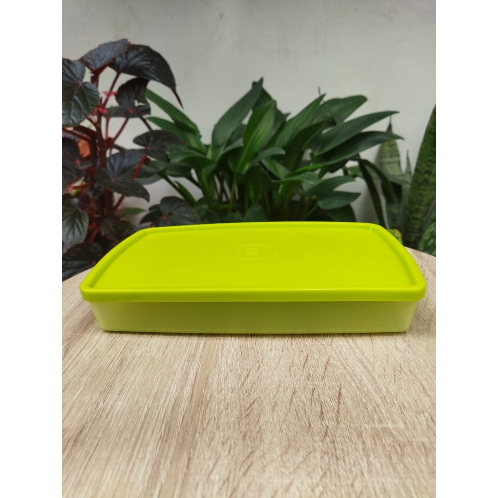 Jual Tupperware Shalllow Pak N' Stor 600 ml 1 pcs | Shopee Indonesia