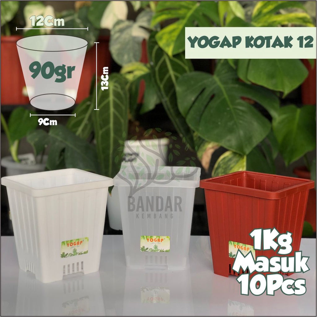 Jual Pot Yogap Kotak 12 Warna Merah Putih Transparant | Pot Tanaman ...