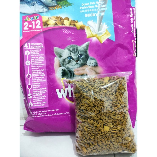 Jual Whiskas Dry Junior Ocean Fish Repack 1 Kg Makanan anak dan ibu ...