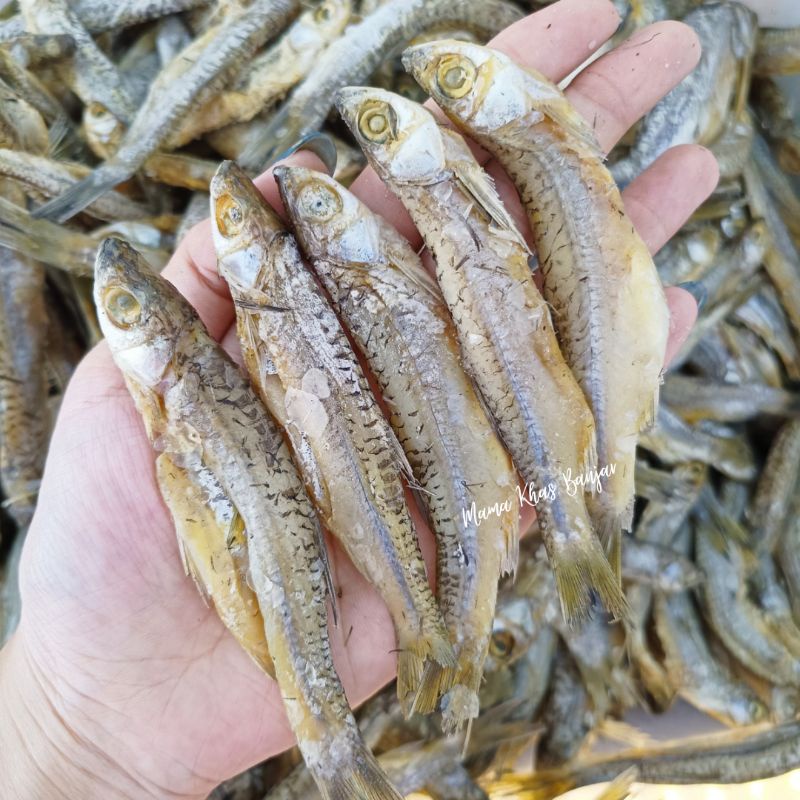Jual Seluang kering 1 kg | Shopee Indonesia