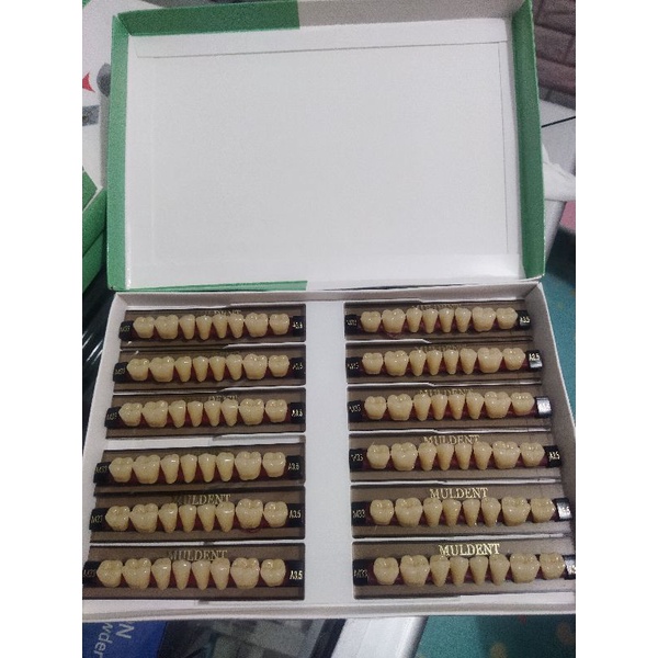 Jual GIGI PALSU / GIGI MULDENT GERAHAM BAWAH / PER BOX ISI 12 BARIS ...