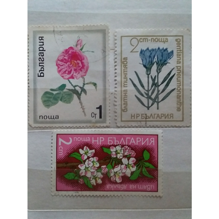 Jual prangko bulgaria bunga 1970 1972 1975 3 lembar used | Shopee Indonesia