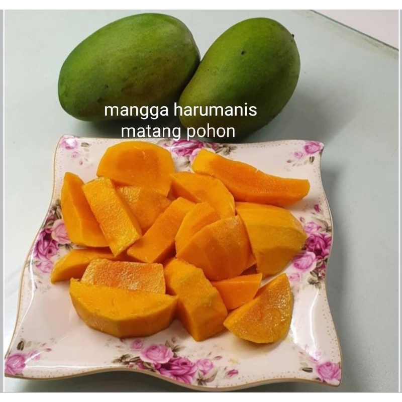 Jual buah mangga harumanis | Shopee Indonesia
