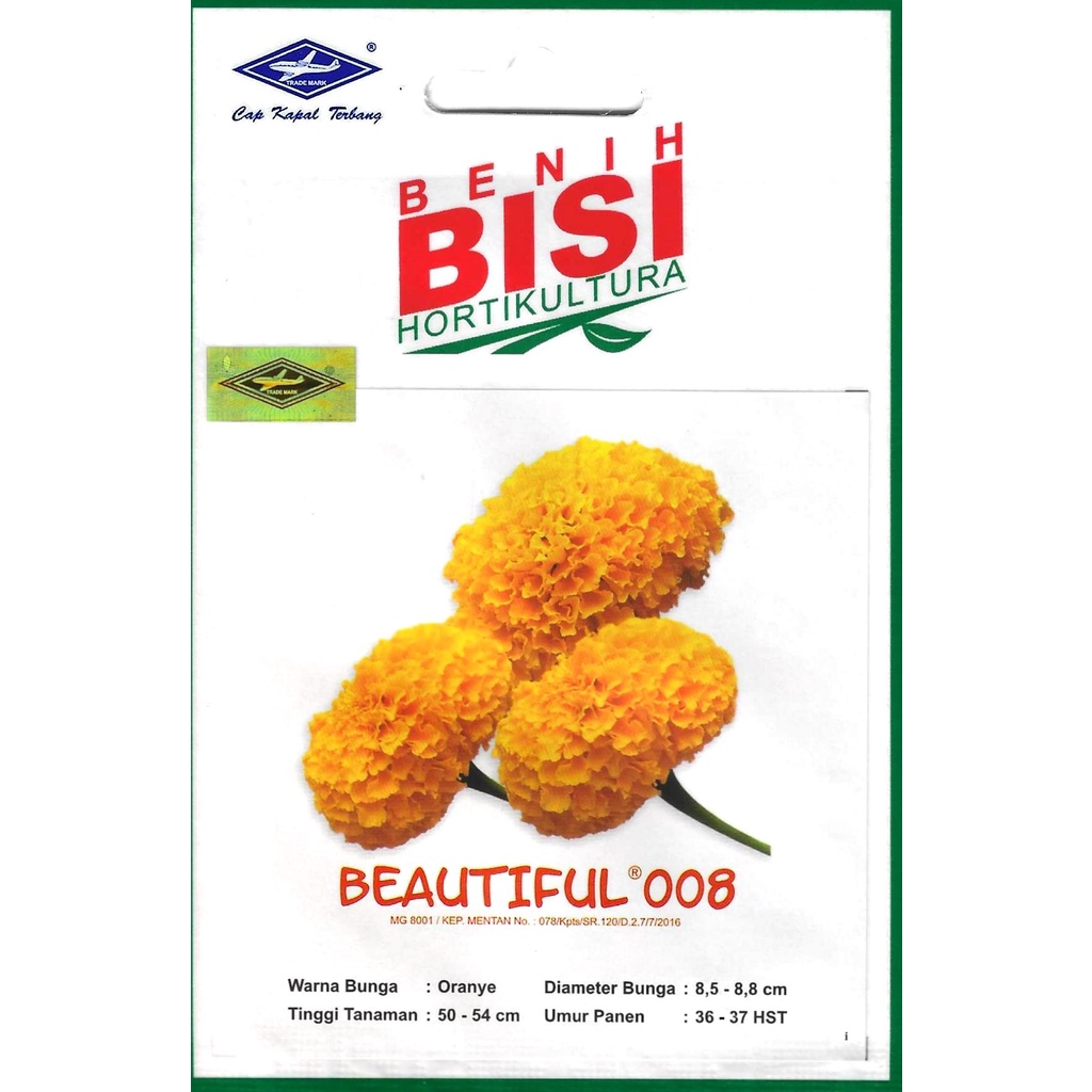 Jual Benih Bibit Bunga Marigold Orange - Gemitir Jingga - Beautiful 008 ...