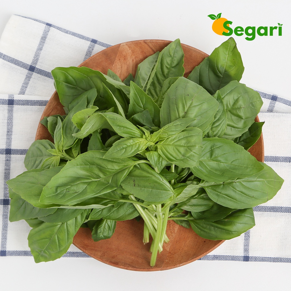 Jual Daun Basil | Shopee Indonesia