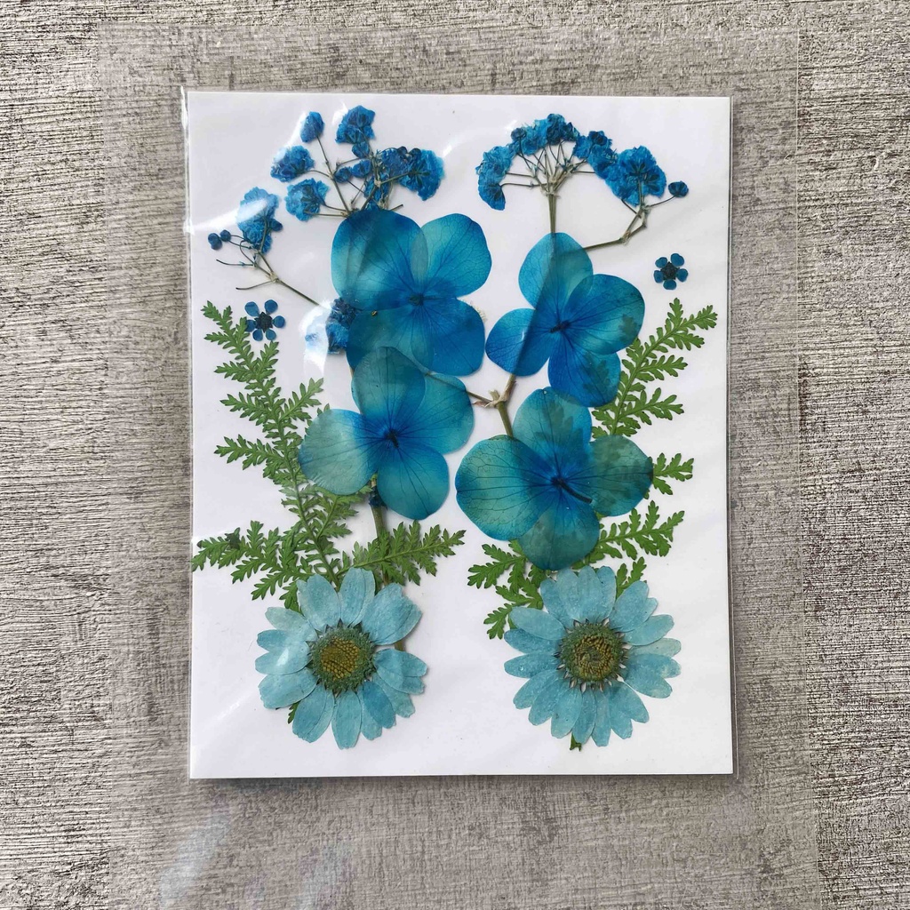 Jual Pressed Flower Bunga Kering Untuk Bahan Kerajinan Resin Pf2