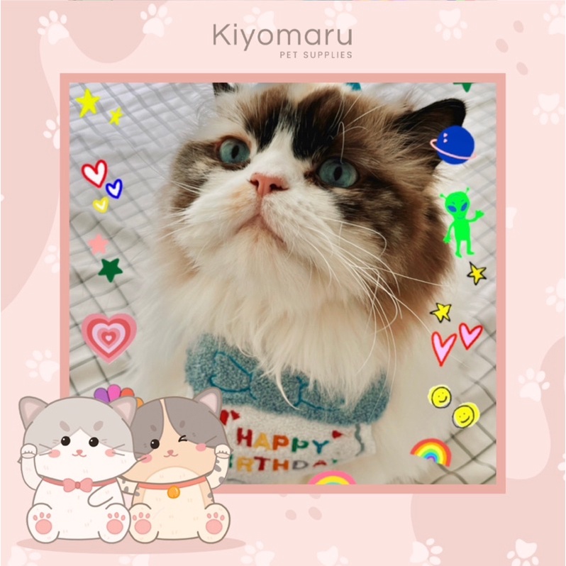 Jual Cat Dog Happy Birthday Party Bib Slabber Hat Costume Baju Topi Set ...