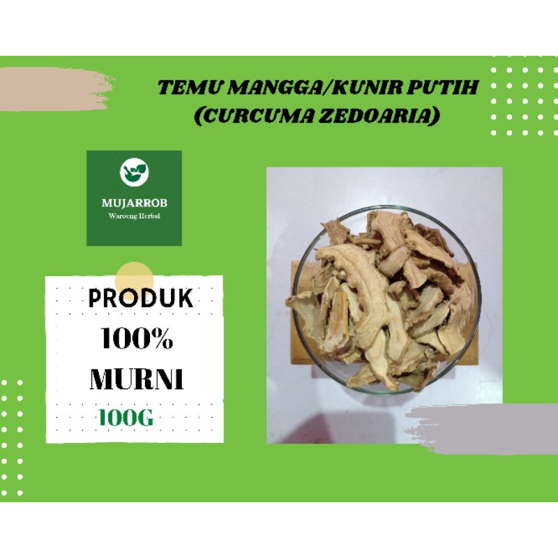Jual Temu Mangga Kunir Putih Curcuma Zedoaria Bahan Tusyifa | Shopee ...