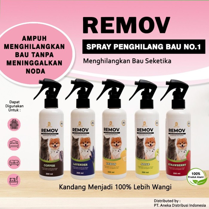 Jual REMOV 250mL Spray Penghilang Bau Tanpa Noda | Shopee Indonesia