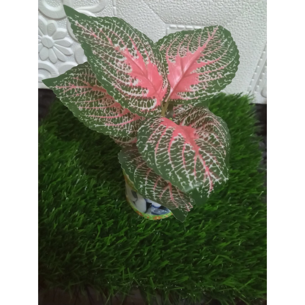 Jual bungga hias pelastik miana cantik/ bunga hias plastik miana murah ...