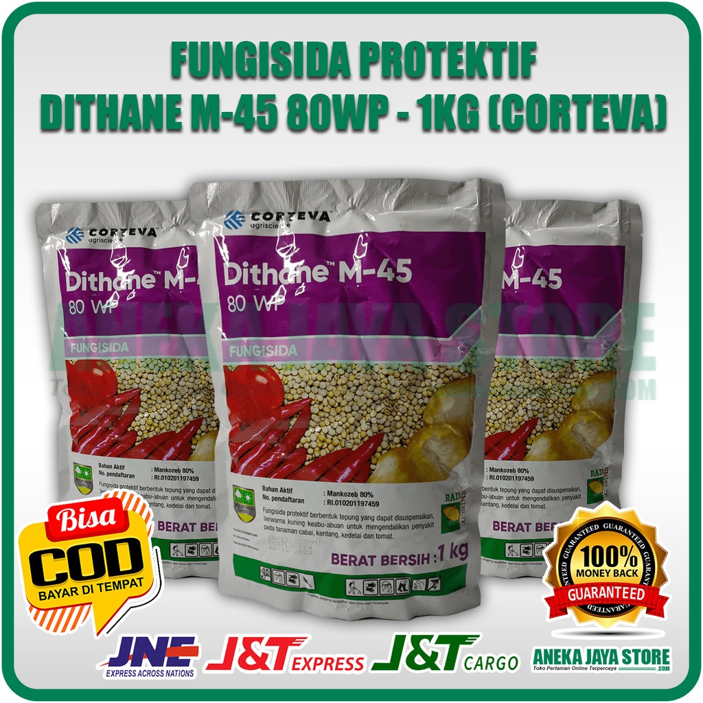 Jual Fungisida Dithane M-24 80WP - 1 KG (Corteva) | Shopee Indonesia