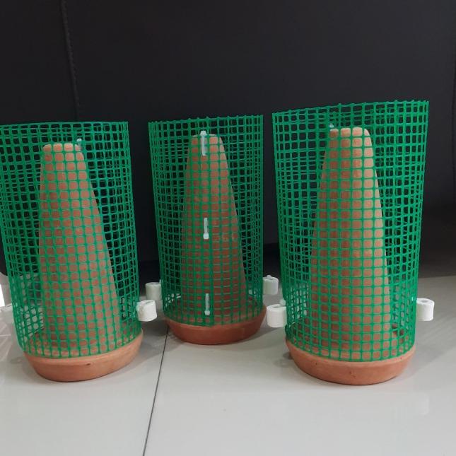 Jual cone discus cone untuk telur ikan discus cone breeding discus ...