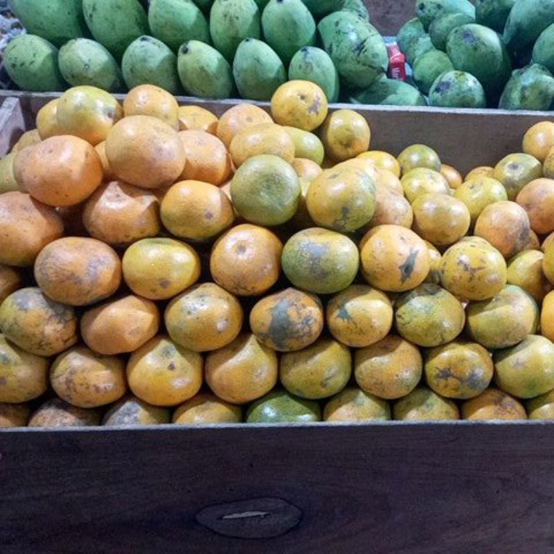 Jual Jeruk Medan Super (500g) | Shopee Indonesia