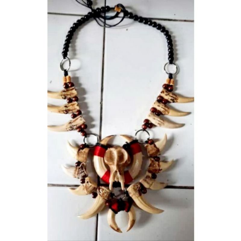 Jual Kalung Taring Babi Etnik Dayak Pria Wanita Adat Kalimantan Mirip Asli | Shopee Indonesia