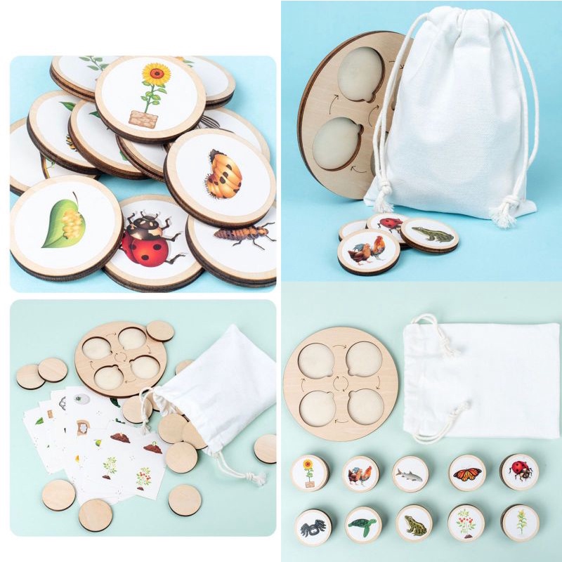 Jual montessori life cycle. life cycle hewan. peraga hewan metamorfosis ... Jual montessori life cycle. life cycle hewan. peraga hewan metamorfosis ...