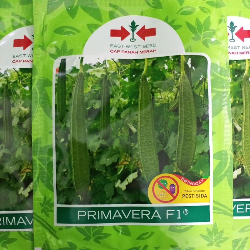 Jual Benih Gambas / Oyong PRIMAVERA F1 75 Butir Cap Panah Merah ...