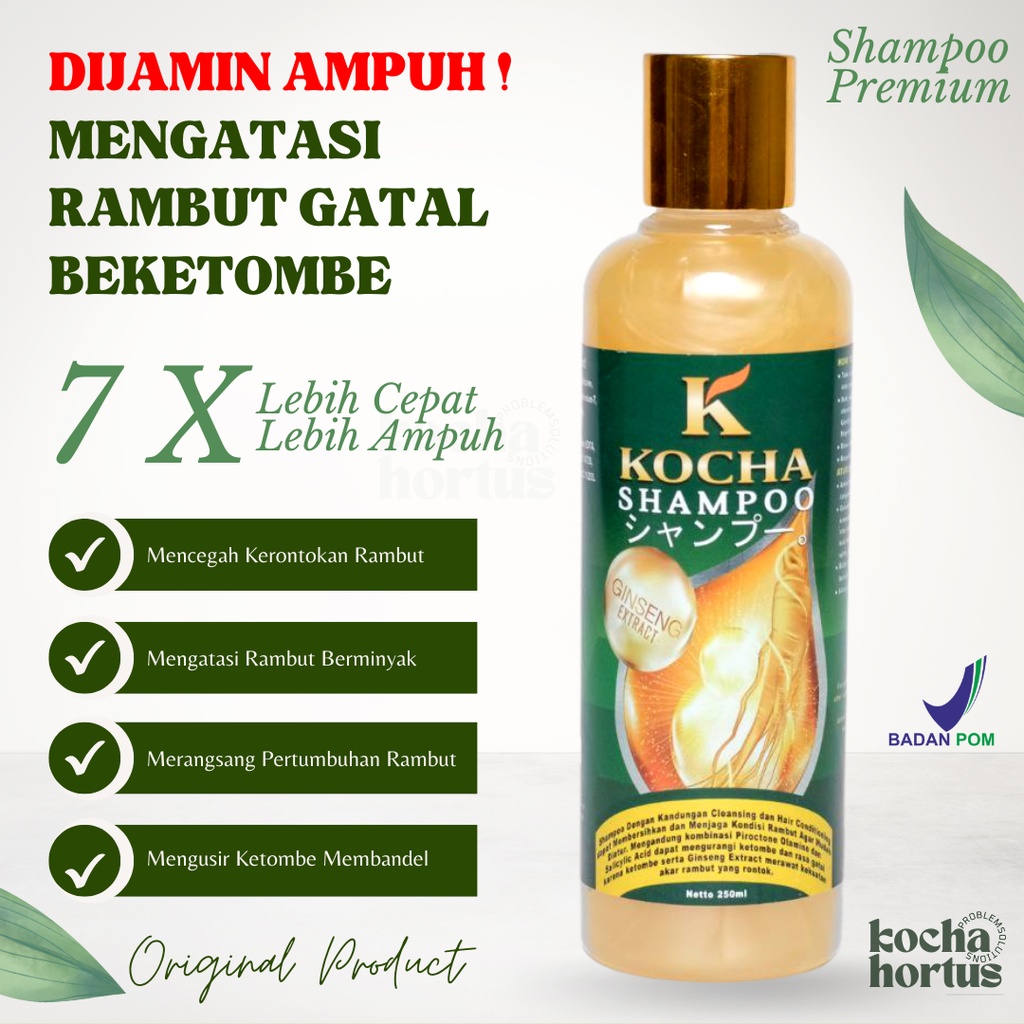 Jual Obat Rambut Rontok Parah dan Anti Ketombe Paling Ampuh by Kocha Sampo Anti Ketombe Sangat ...