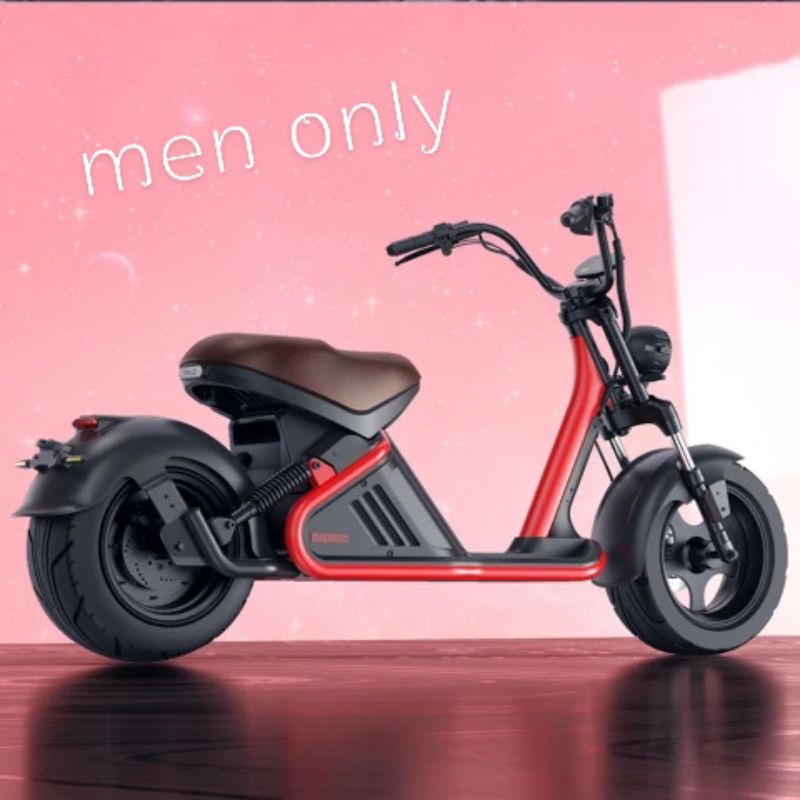 Jual Moge elektrik M2 citycoco inden | Shopee Indonesia