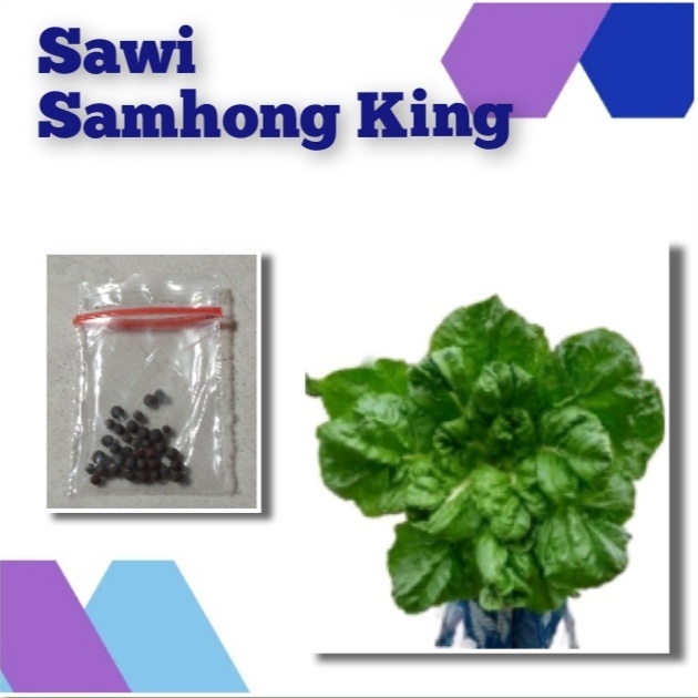 Jual Benih Sayuran Sawi Samhong King Cap Panah Merah F1 Hybrida ...