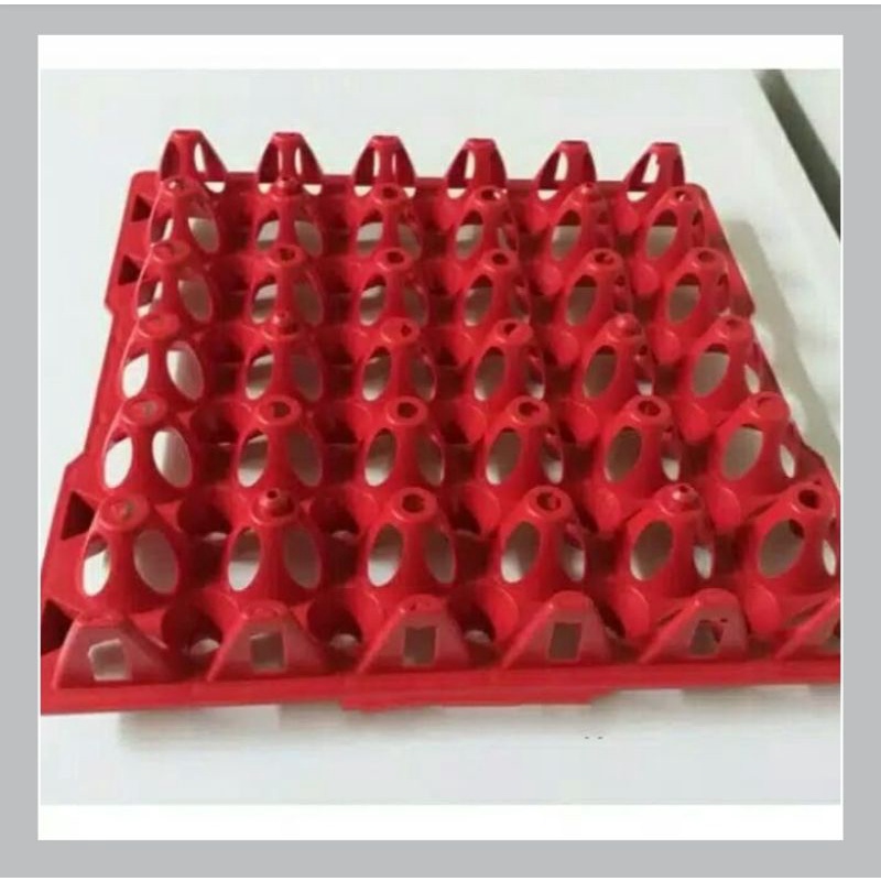 Jual TEMPAT RAK TELUR EGG TRAY PLASTIK MURAH ISI 30 TELUR | Shopee ...