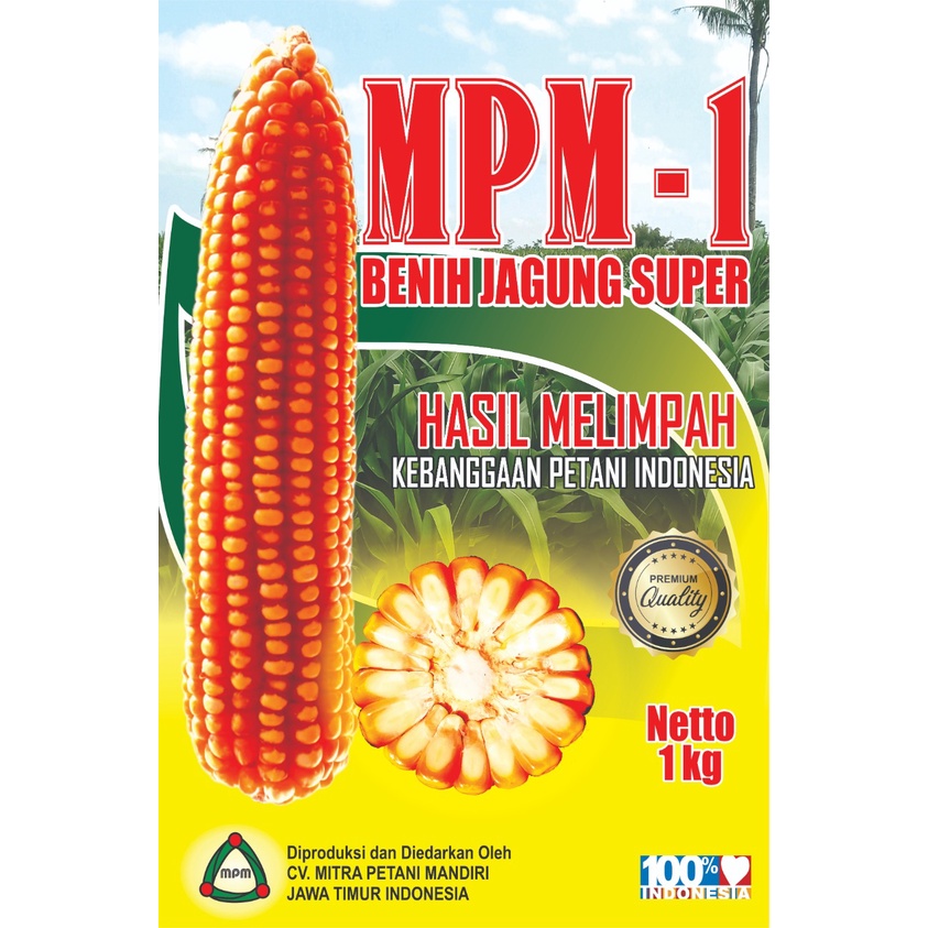 Jual BENIH JAGUNG MPM - 1 KG SUPER PREMIUM DAN BERSERTIFIKAT [MURAH ...