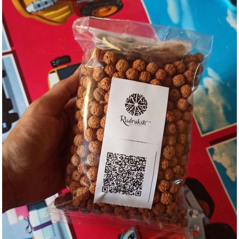 Jual biji jenitri 1000 butir premium | Shopee Indonesia