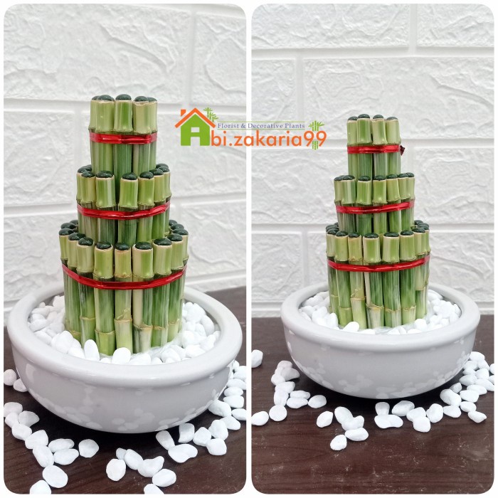 Jual PAKET LENGKAP PAJANGAN / HIASAN MEJA/ MEJA KANTOR BAMBU HOKI MINI ...