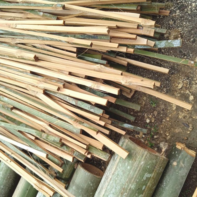 Jual Bambu Ajir Penyangga Tanaman Panjng 150 Cm ajir bambu bilah turus ...