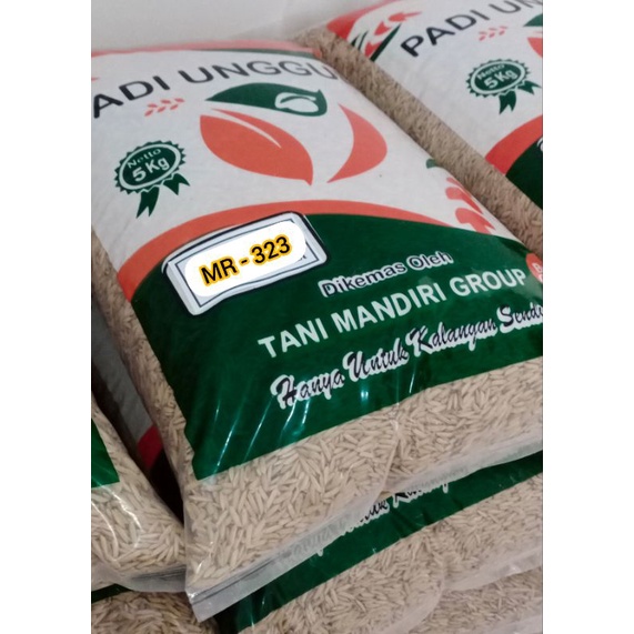 Jual BENIH PADI MR-323 , BERAT 5 KG. | Shopee Indonesia