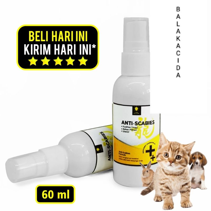 Jual Anti Scabies Obat Jamur Kucing Scabies Kulit Gatal Demodex ...