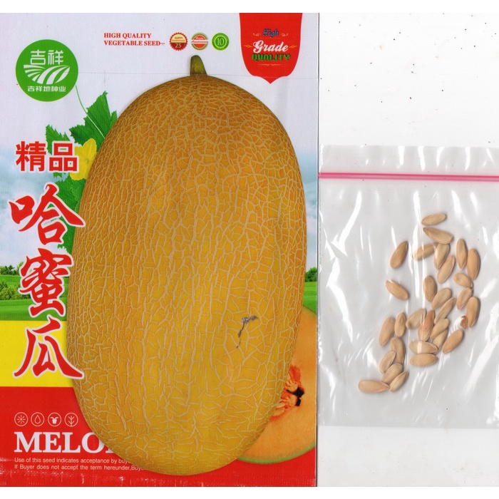 Jual Benih Melon Import F1 Golden Yellow Hami 35 Biji | Shopee Indonesia