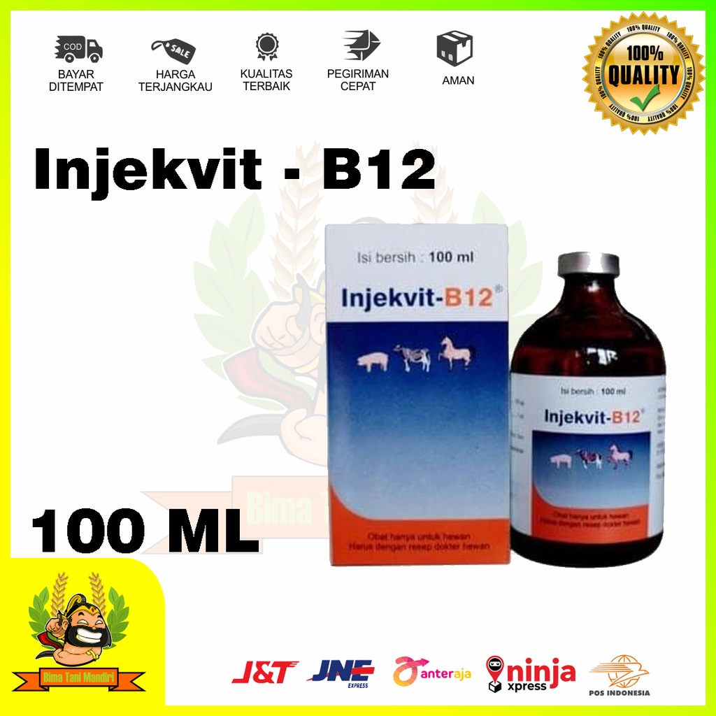 Jual INJEKVIT B12 100ml Injeksi Untuk Perbaiki Kondisi Tubuh Anemia ...