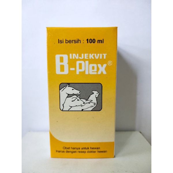 Jual Injeksi vitamin B-komplek 100ml/ medion/ vitamin injeksi | Shopee ...