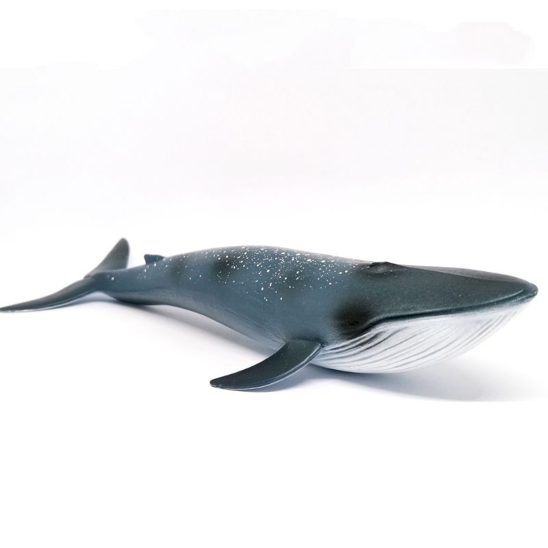 Jual mainan ikan paus blue whale | Shopee Indonesia