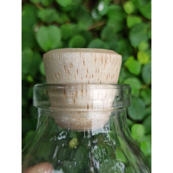 Jual Botol kaca tutup kayu 500ml Charm Cork, Kayu Gabus, serbaguna ...