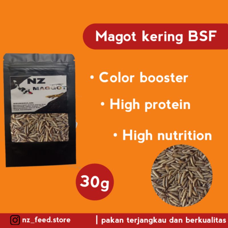 Jual magot/maggot kering BSF 30/60 gram, pakan ikan terjangkau dan ...