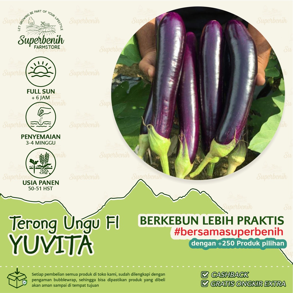 Jual 25 Biji - Benih Terong Ungu YUVITA F1 | Shopee Indonesia