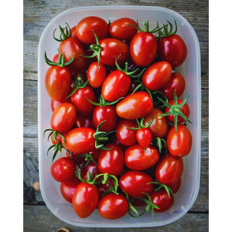 Jual 15 Benih Biji Tomat Cherry Red Unggul | Shopee Indonesia