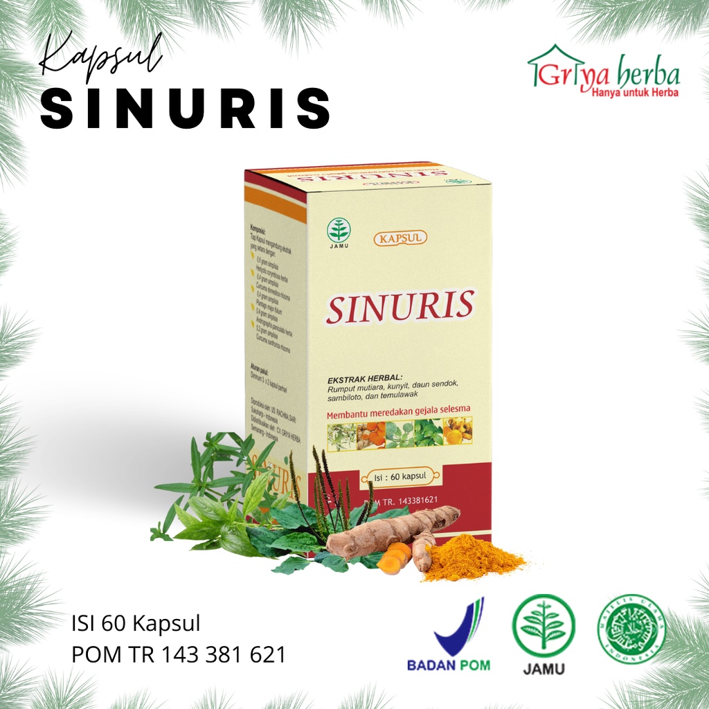 Jual Obat herbal alami untuk sinusitis dengan kapsul Sinuris 60 Kapsul ...