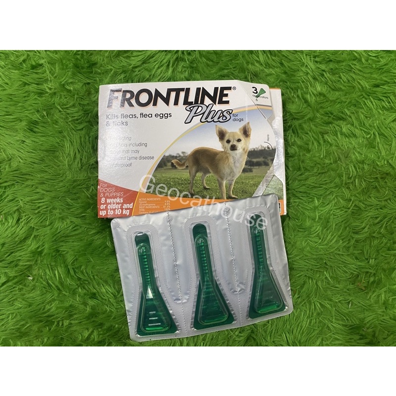 Jual Frontline Plus Dog Puppies Up To 10 Kg Obat Tetes Kutu Anjing ...