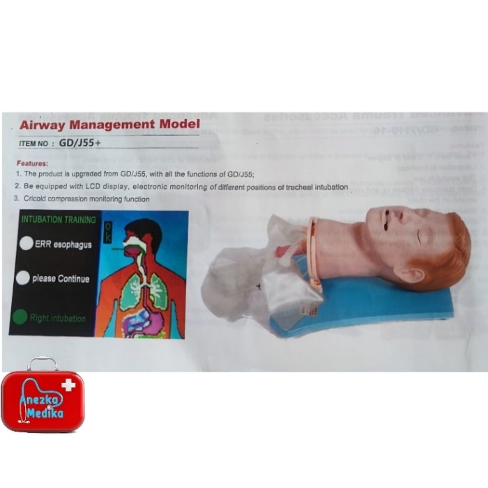 Jual PHANTOM MANIKIN AIRWAY MANAGEMENT MODEL / GENERAL DOCTOR GD J+55 ...